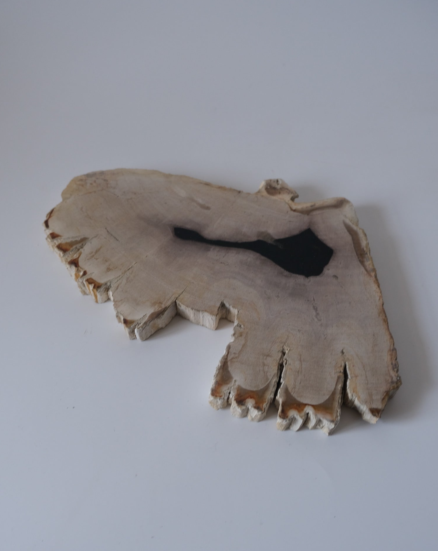 Wood Plate #001 – OAK